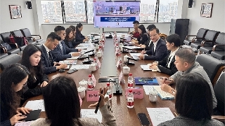 Commerce and Investment Promotion Institute